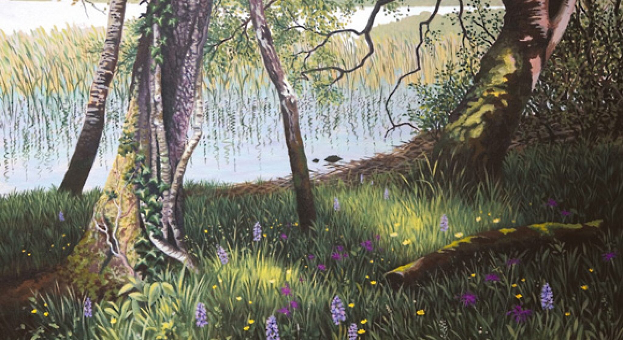 frances-morris-artist - Enniskillen.com